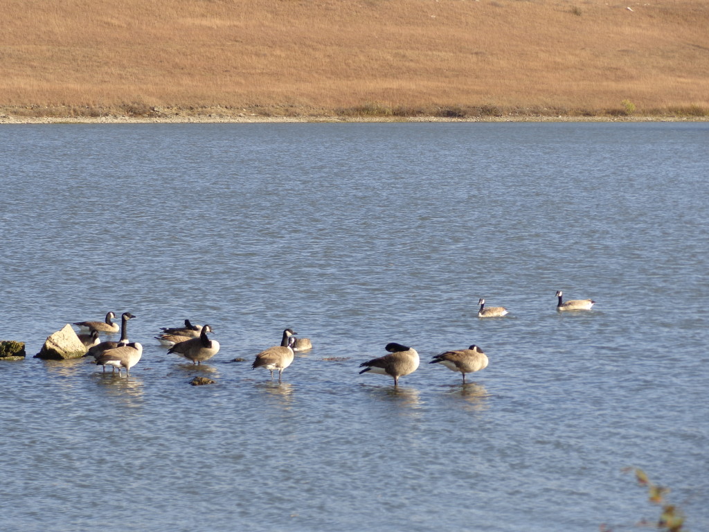 Chase State Fishing Lake - City of Cottonwood Falls Kansas